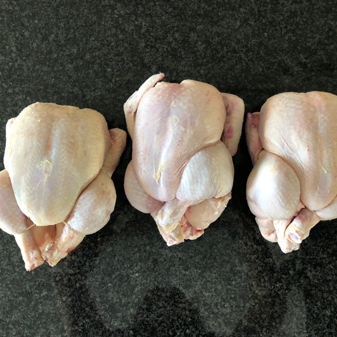 Three-Chicken Bundle – Blackbird Farms